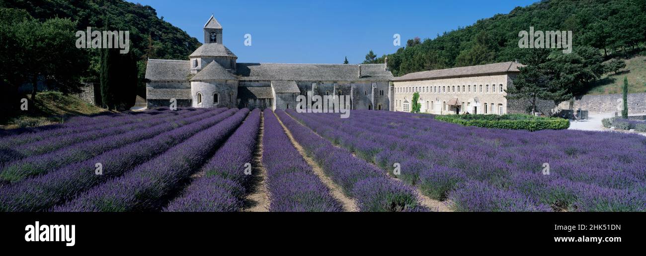 Abbaye de senanque hi-res stock photography and images - Alamy