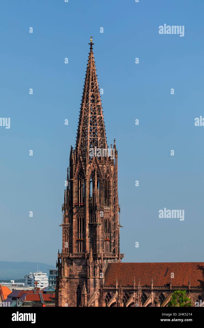 Tower of the freiburg cathedral hi-res stock photography and images - Alamy