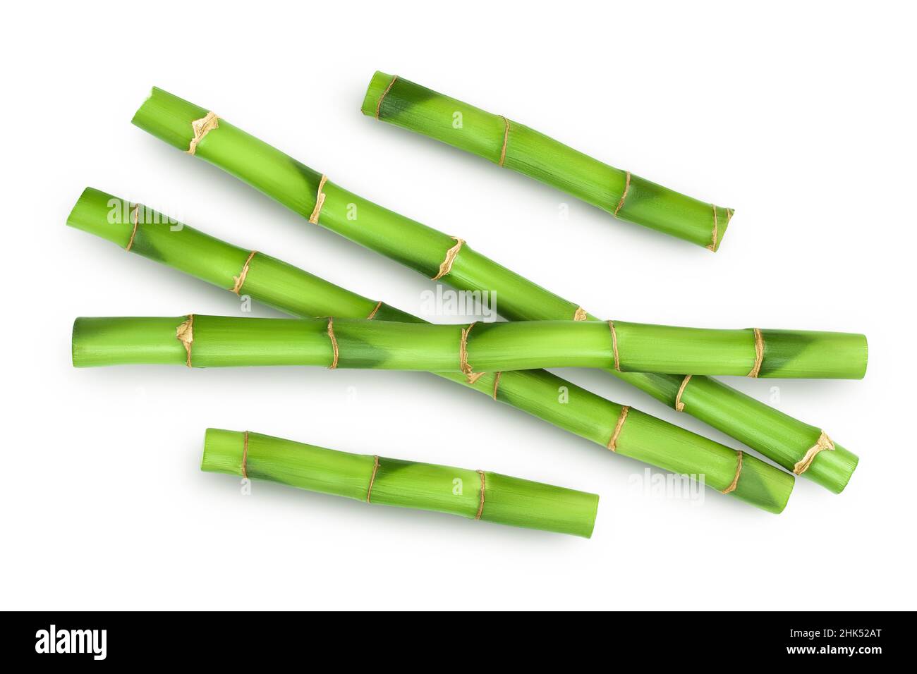Green bamboo isolated on white background with clipping path and full ...
