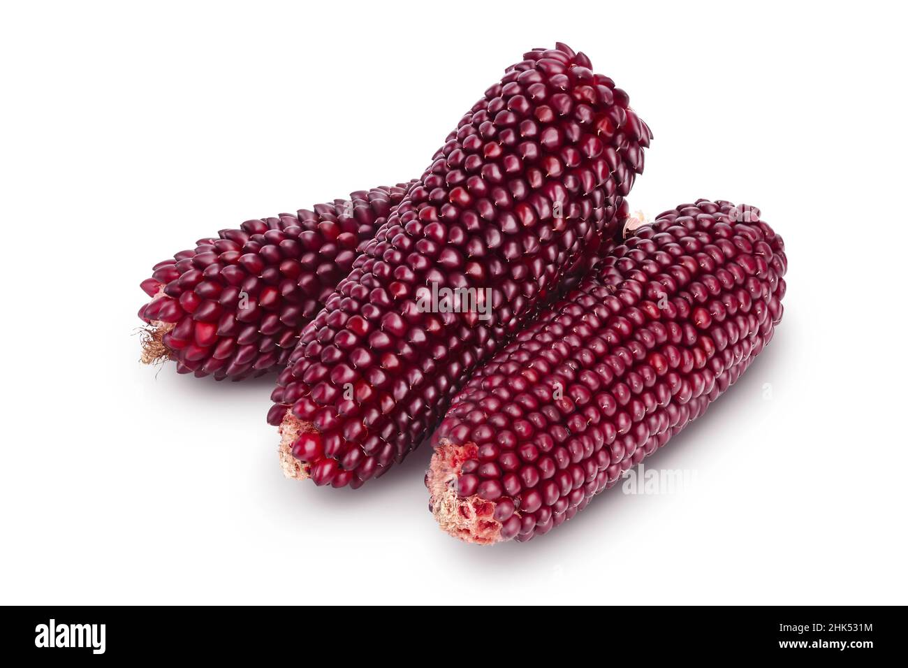 Purple corn or maize isolated on white background with clipping path ...