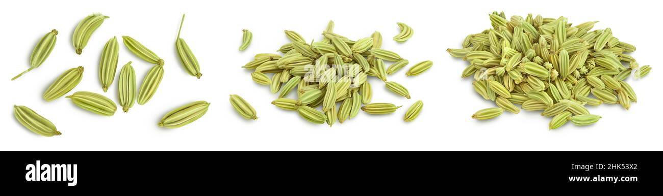 Dried fennel seeds isolated on white background with clipping path. Top ...