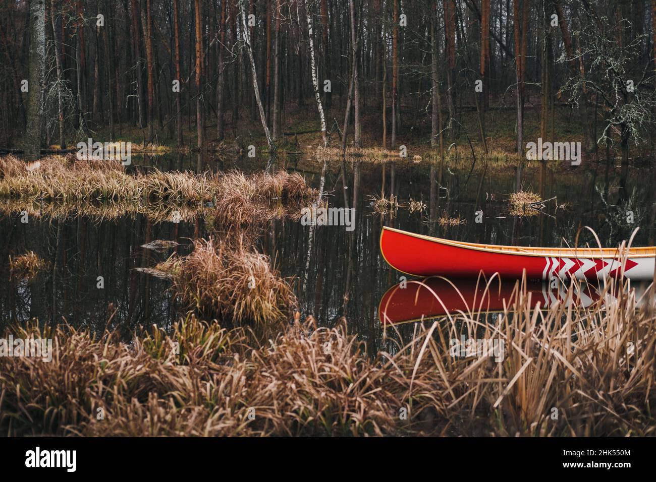 Beautiful forest lake and a canadian canoe. Red wooden boat floating on ...
