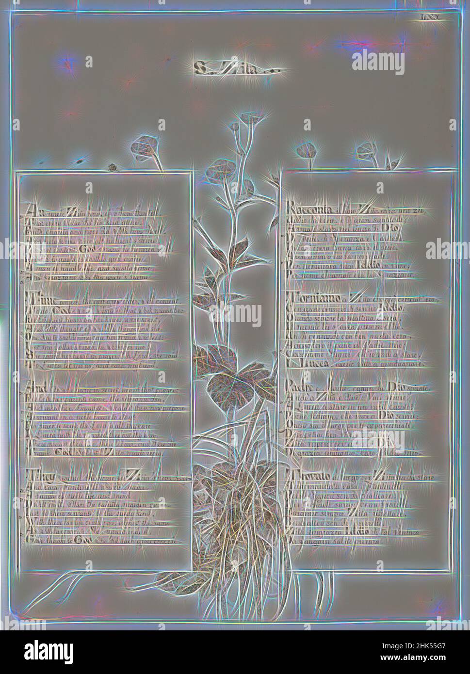 Zita of hi-res stock photography and images - Alamy