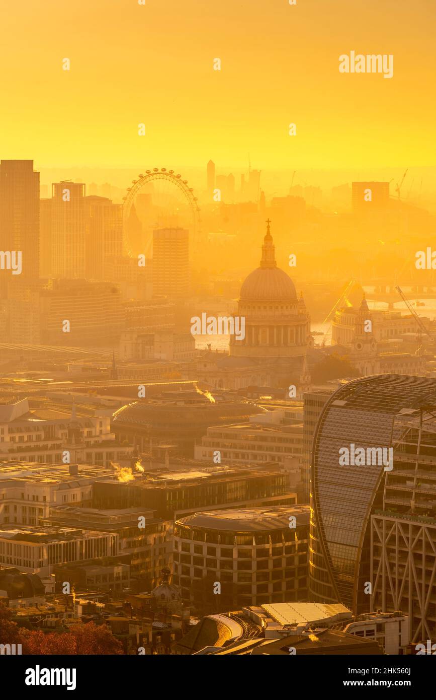 View of London Eye and St. Paul's Cathedral at golden hour from the ...