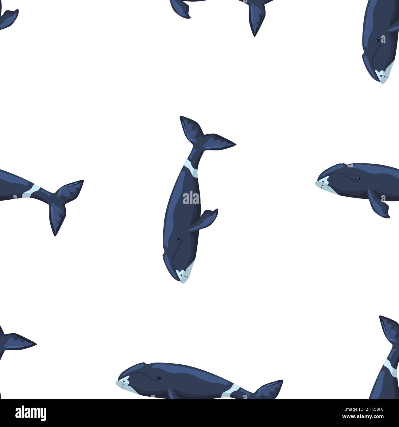 Seamless pattern Bowhead whale on white background. Template of cartoon ...