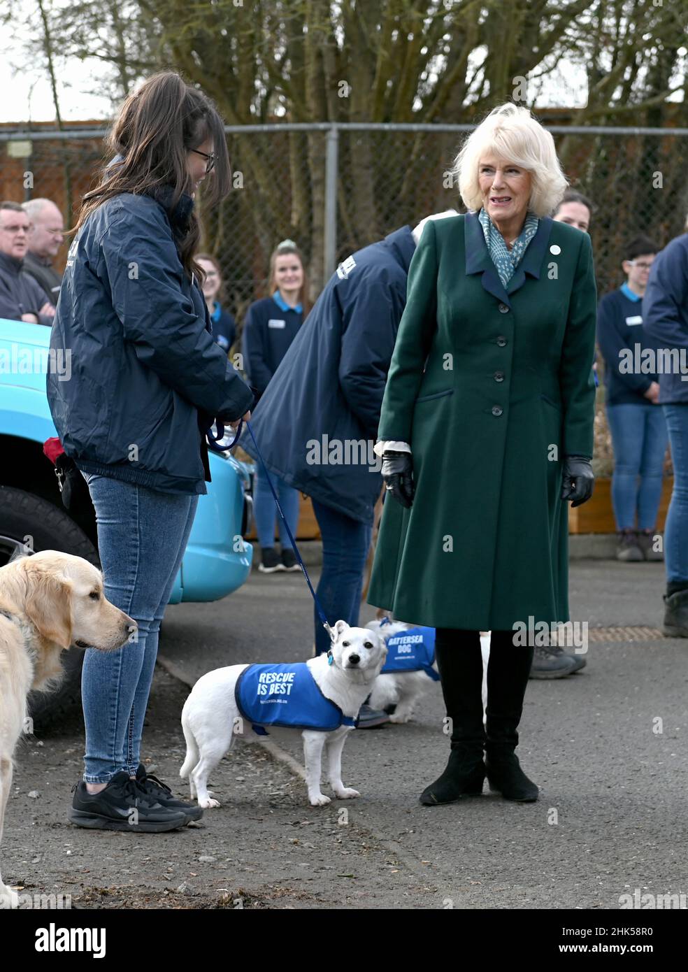The Duchess of Cornwall (right) during her visit to the Battersea Dogs ...