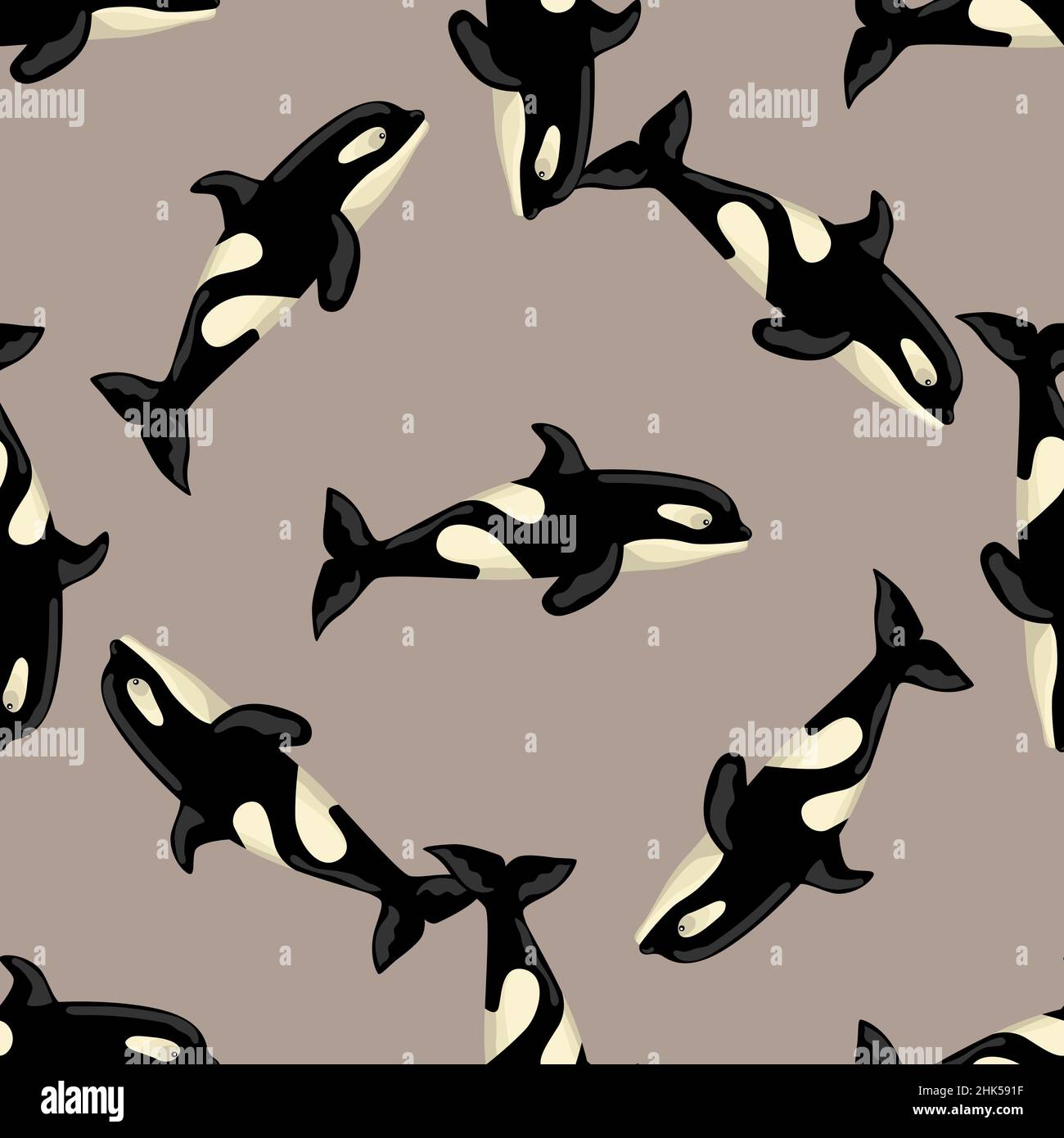 Seamless pattern Orca on brown background. Template of cartoon ...
