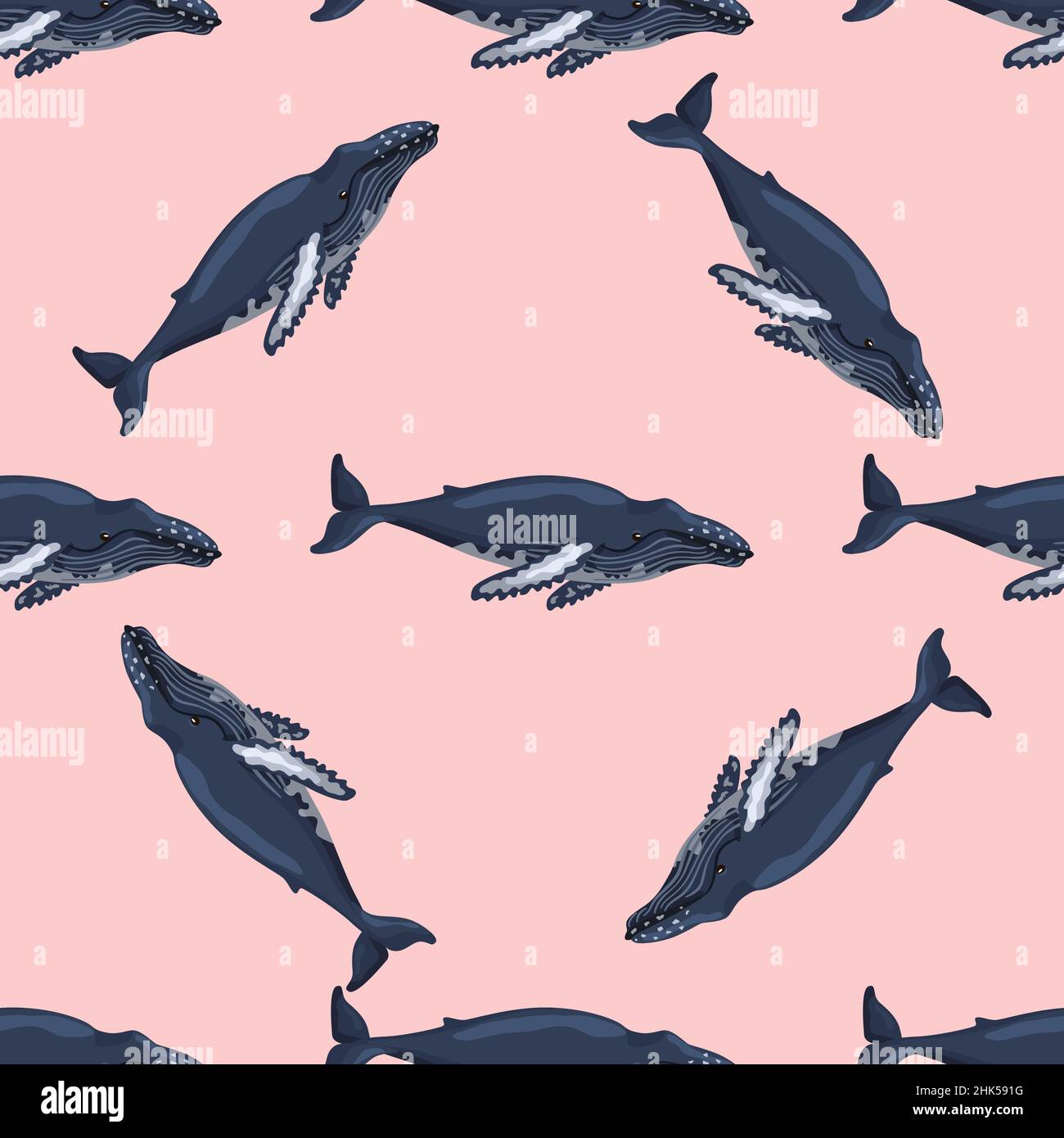 Seamless pattern Humpback whale on pink background. Template of cartoon ...