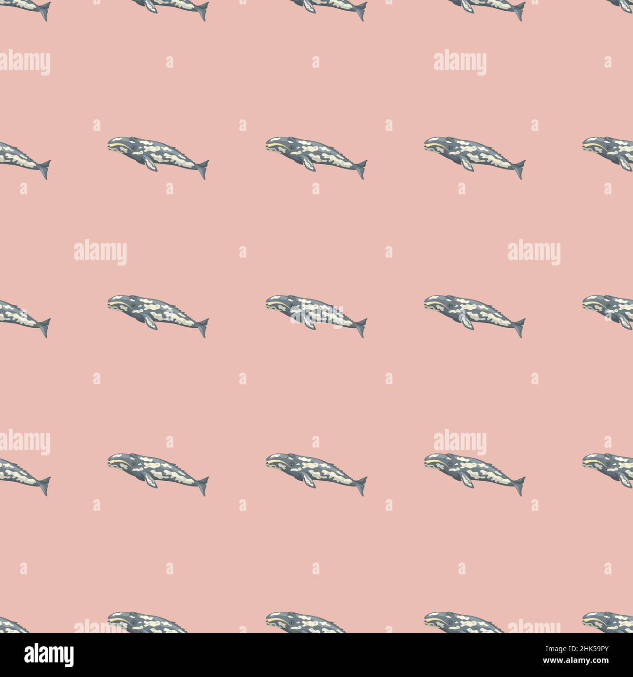 Seamless pattern with gray whale on pink background. Template of ...