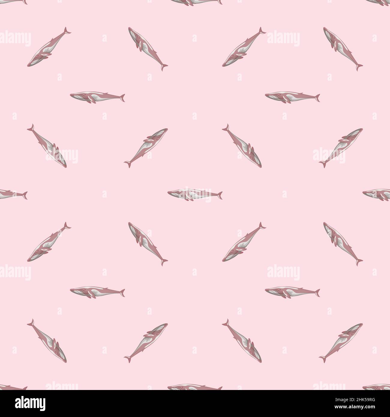Seamless pattern Fin whale on pink background. Template of cartoon ...