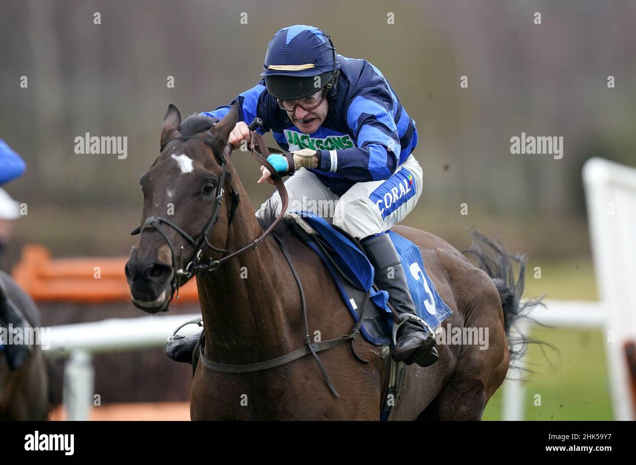 Anglers crag horse hi-res stock photography and images - Alamy