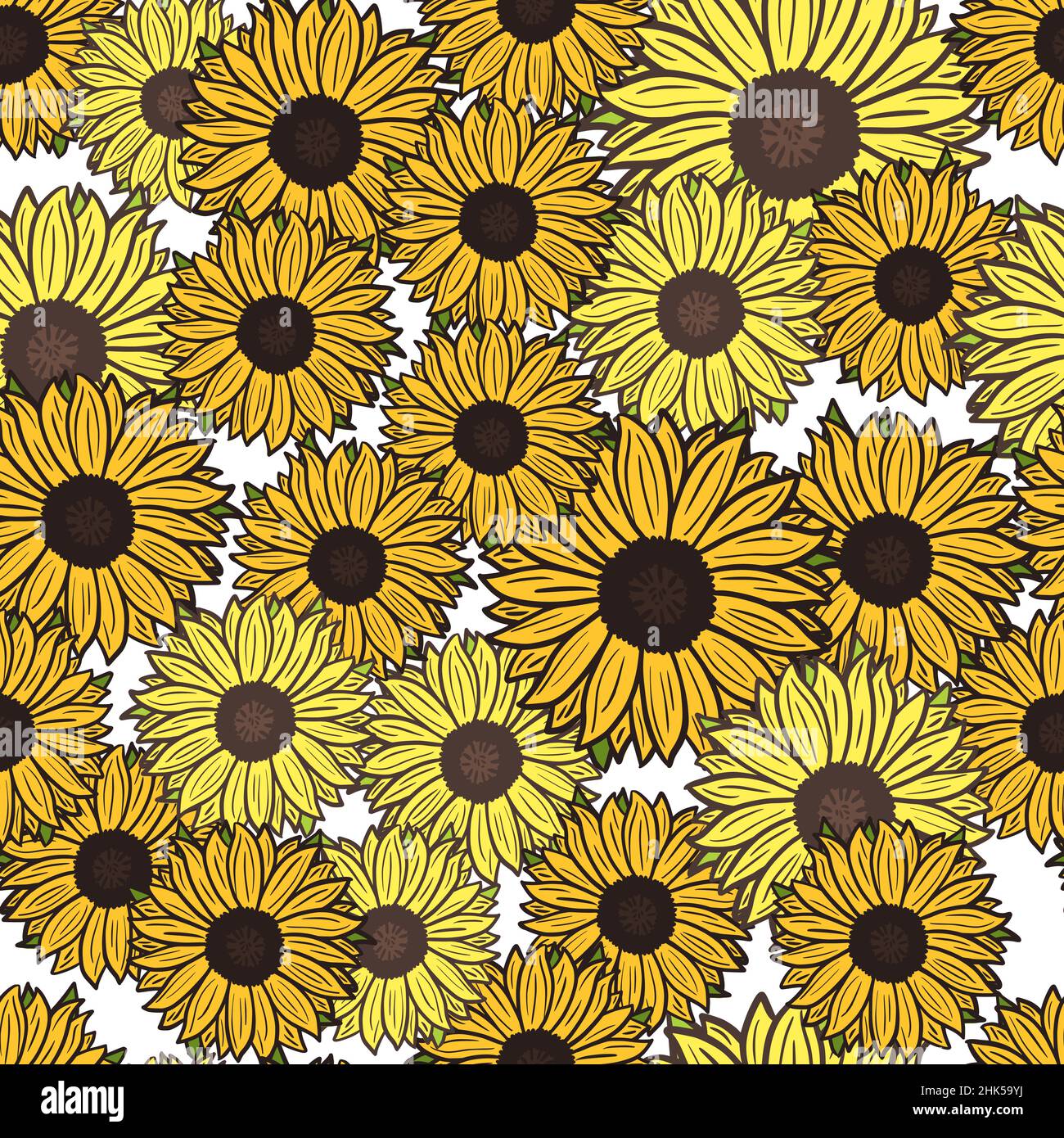 Seamless pattern sunflowers on white background. Beautiful texture with ...