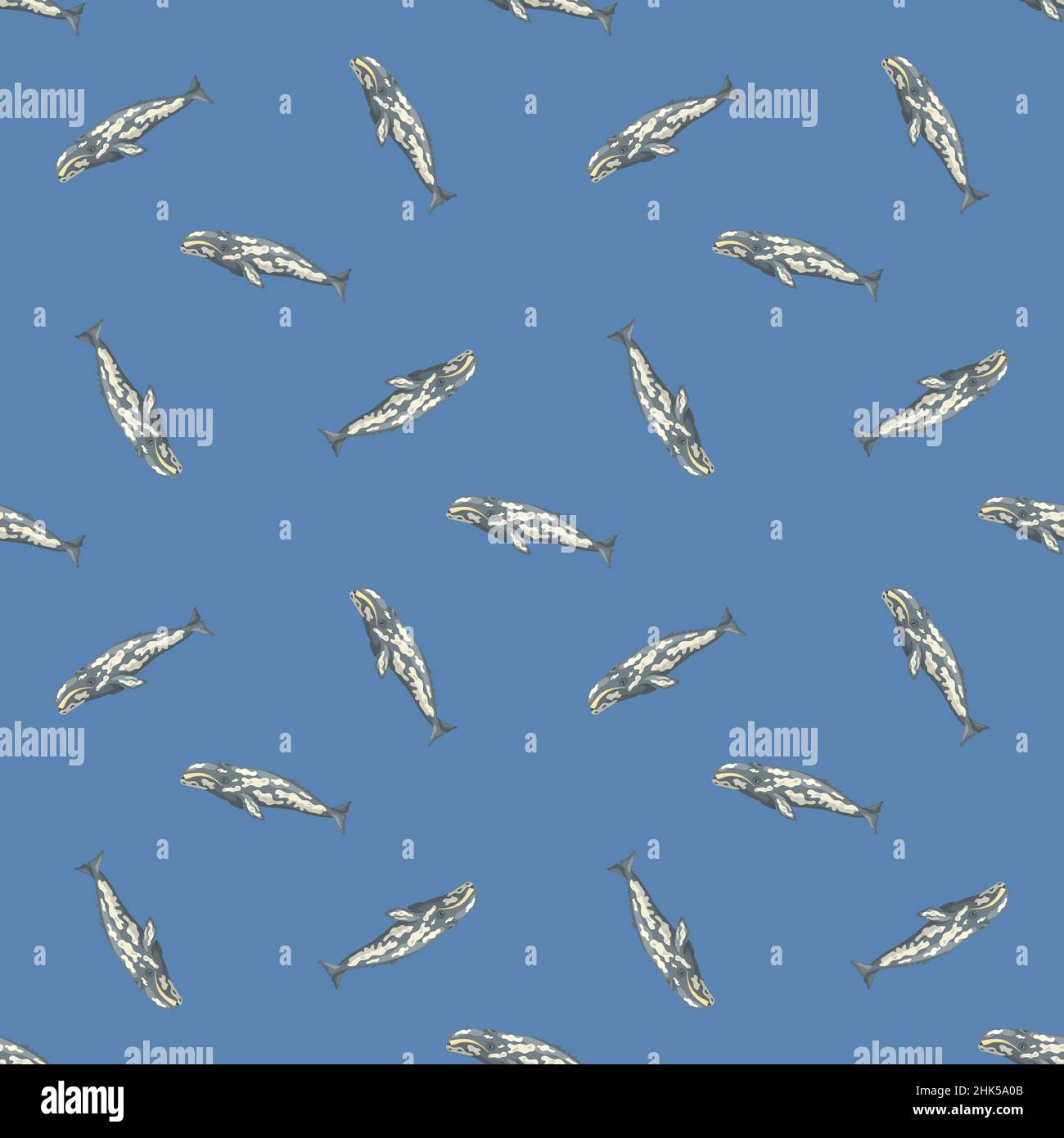 Seamless pattern with gray whale on light blue background. Template of ...