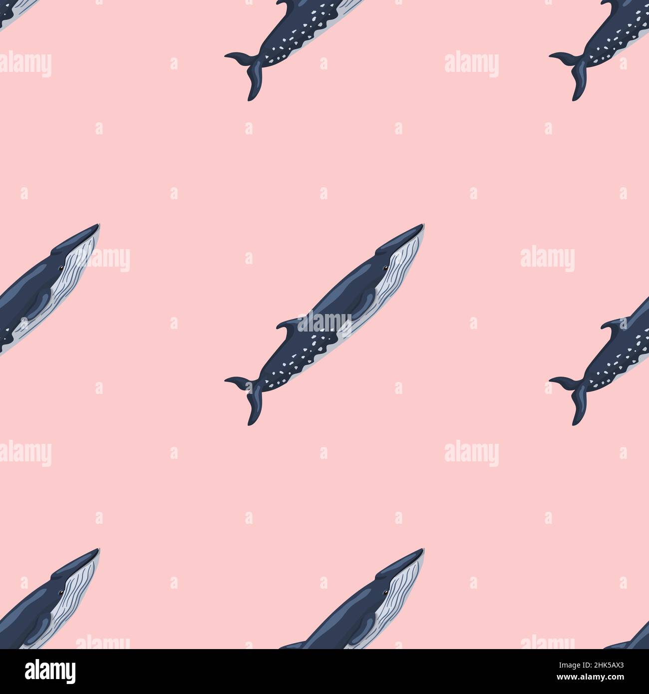Seamless pattern sei whale on pink background. Template of cartoon ...