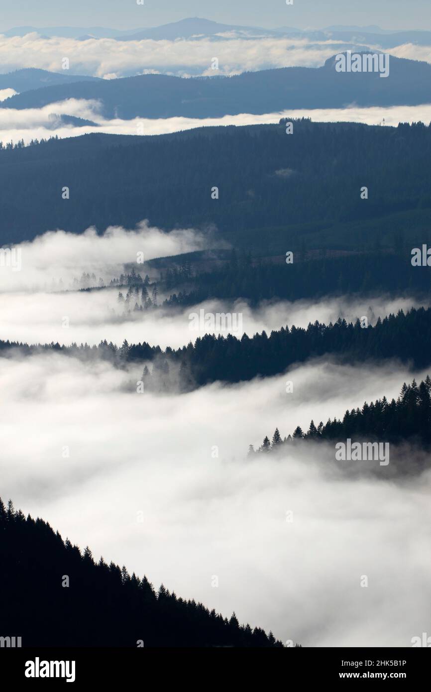 Valley fog from Horse Rock Ridge Trail, Horse Rock Ridge Research ...