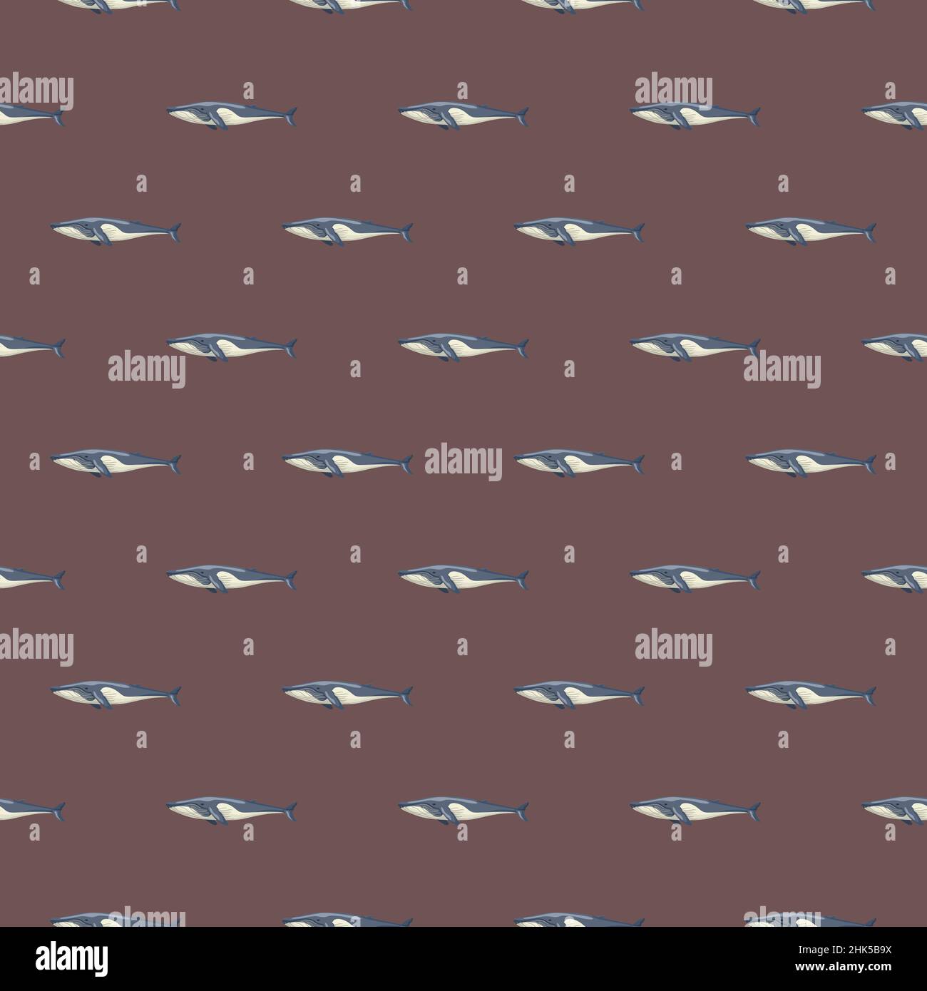 Seamless pattern Fin whale on brown background. Template of cartoon ...