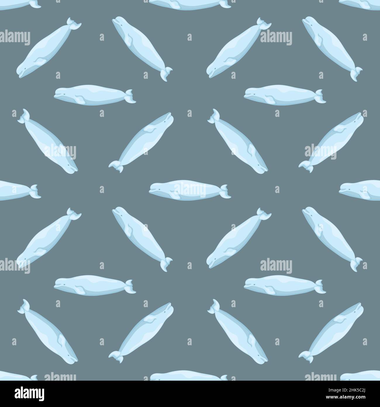 Seamless pattern Beluga on gray background. Template of cartoon ...