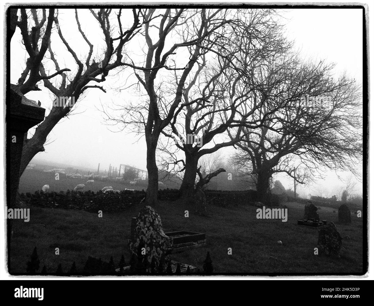 Graveyard Cut Out Stock Images & Pictures - Alamy