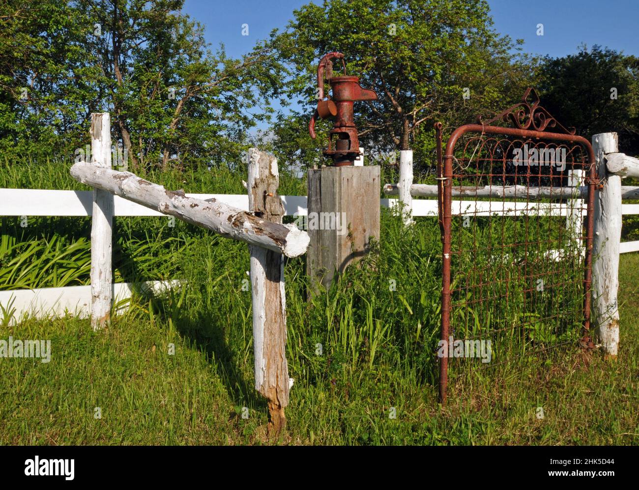 An old water pump stands on the rural property in Lower Bedeque, Prince ...
