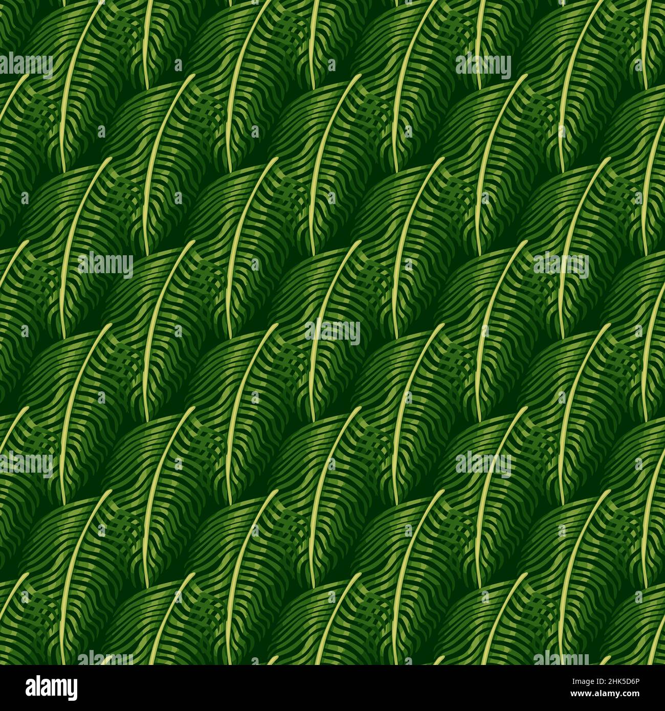 Hawaii seamless pattern with nature botanical fern ornament. Green ...