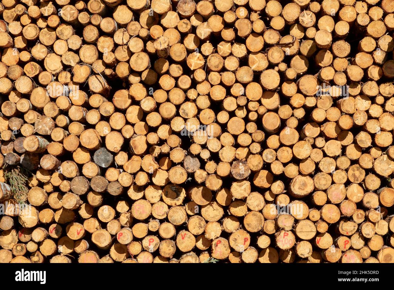 Vaia cyclone hi-res stock photography and images - Alamy