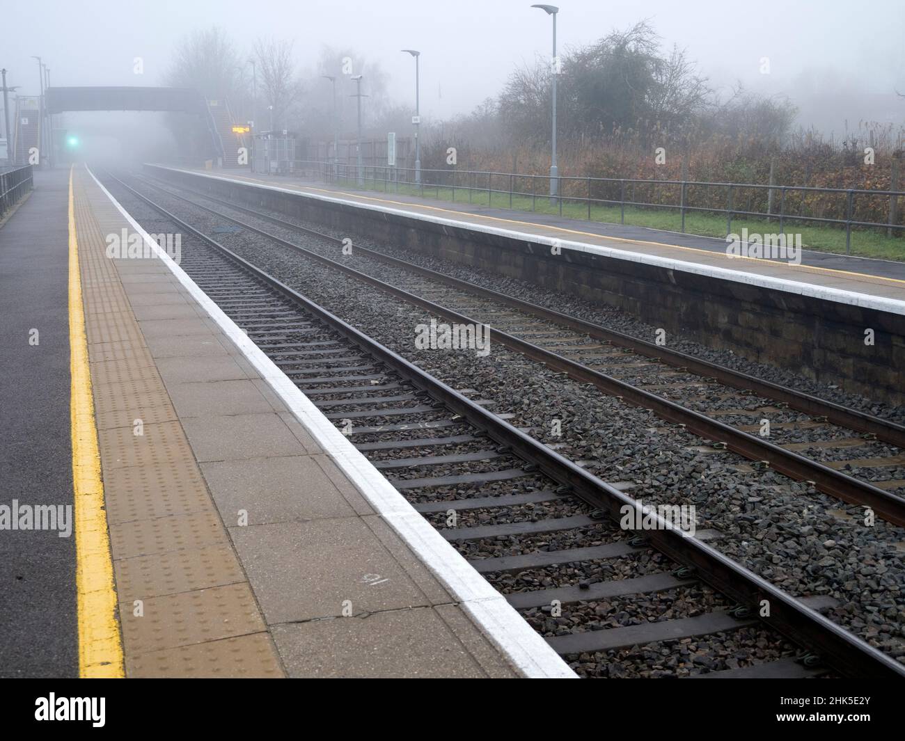 On a foggy midwinter day like this, even the mundane can be transformed ...