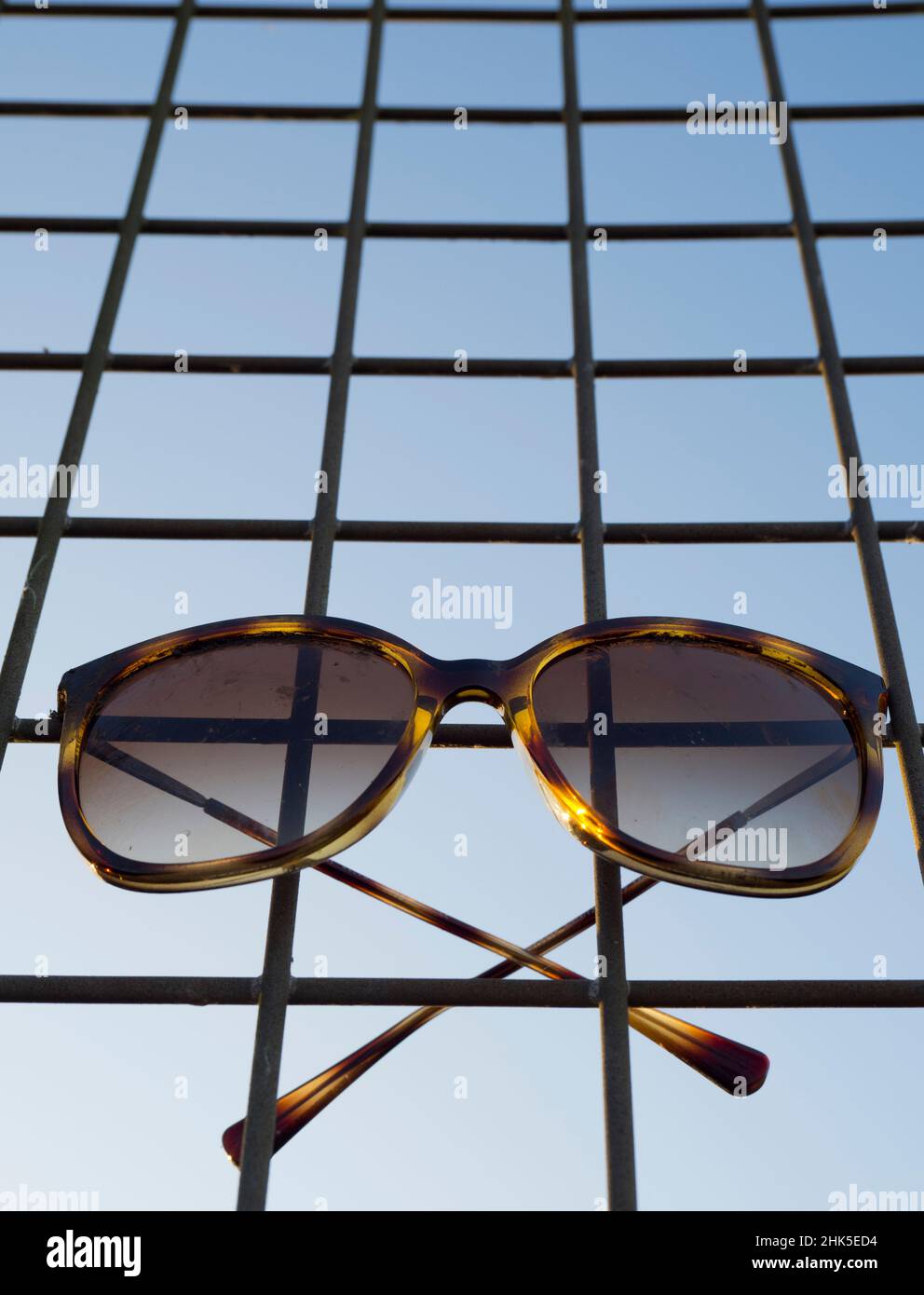 Spontaneous surrealism. I spied this strange juxtaposition on my daily ...