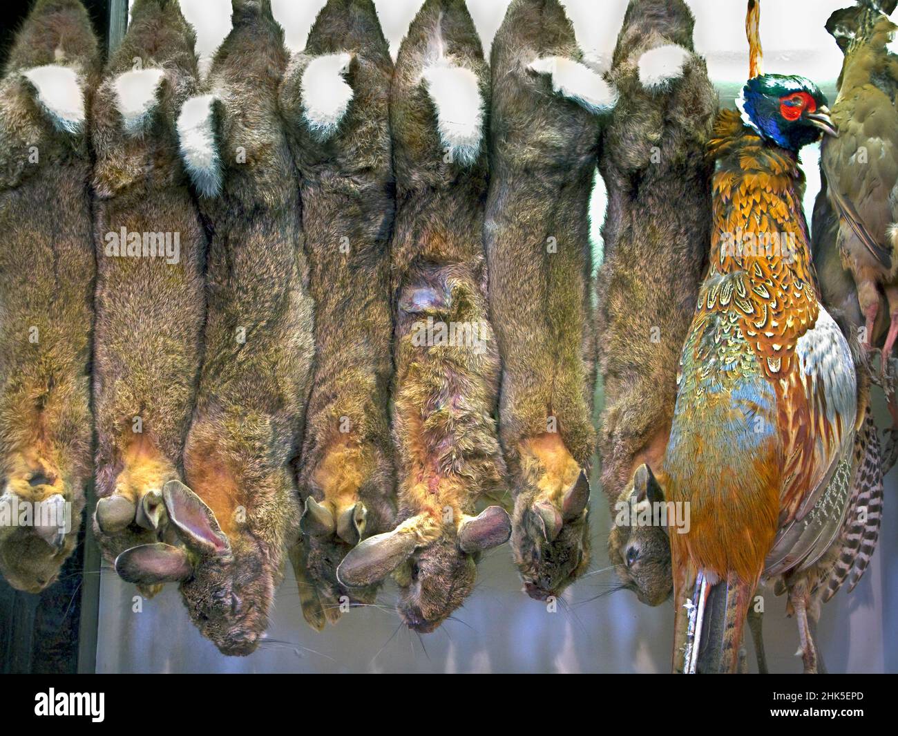 Traditional food bizarre foods hi-res stock photography and images - Alamy