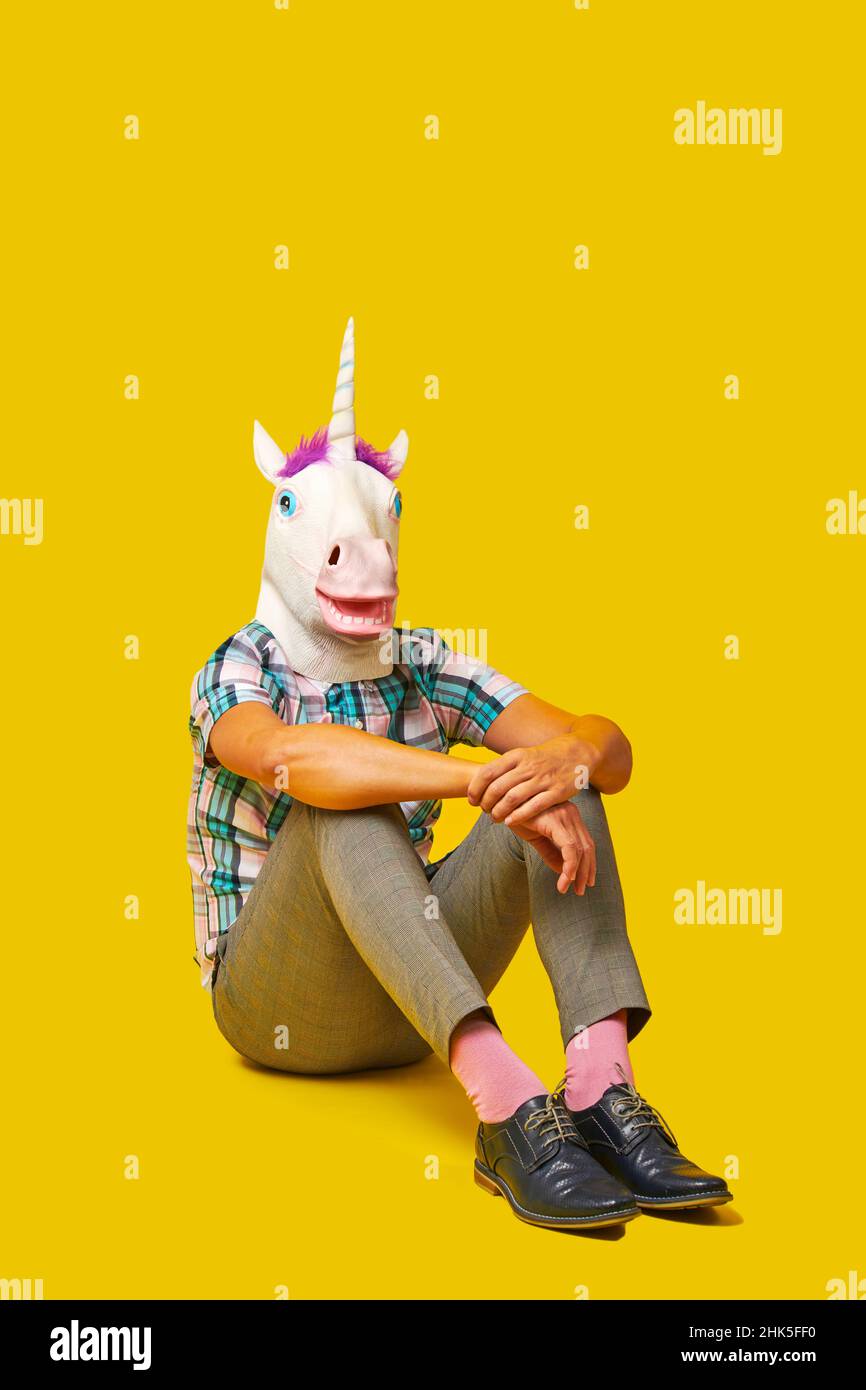 Fake unicorn hi-res stock photography and images - Alamy