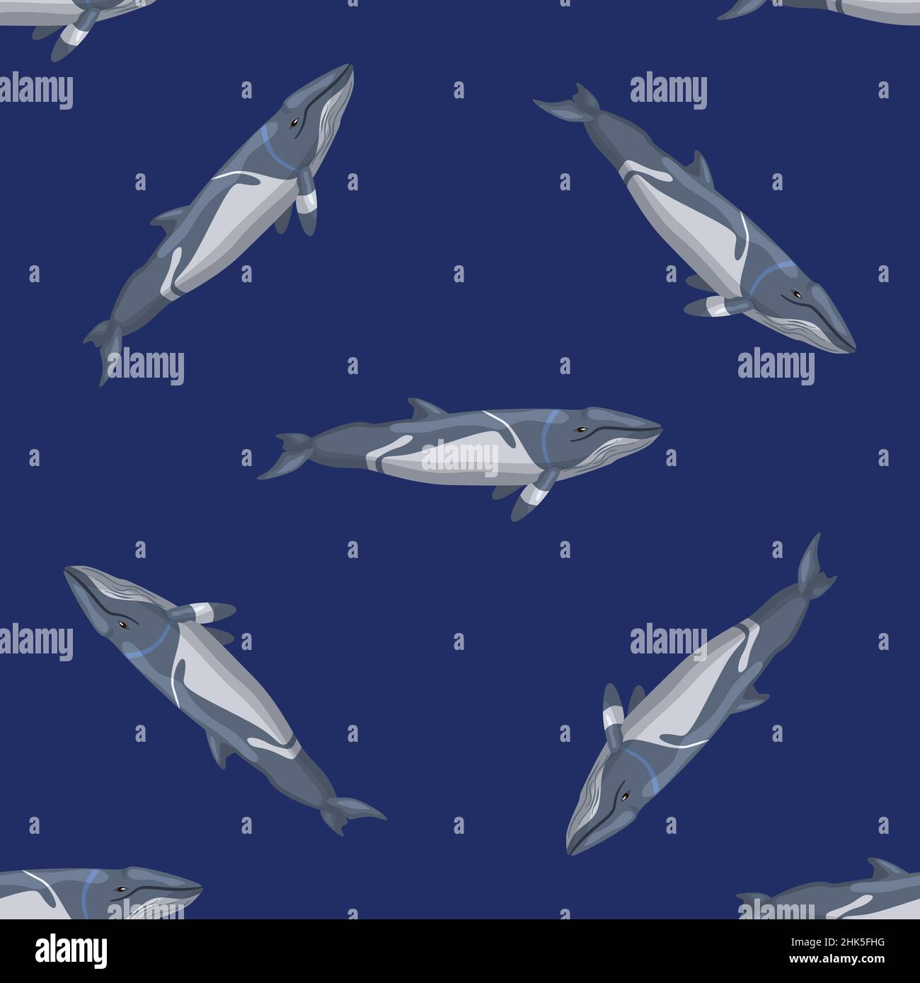 Seamless pattern lesser rorqual on blue background. Template of cartoon ...