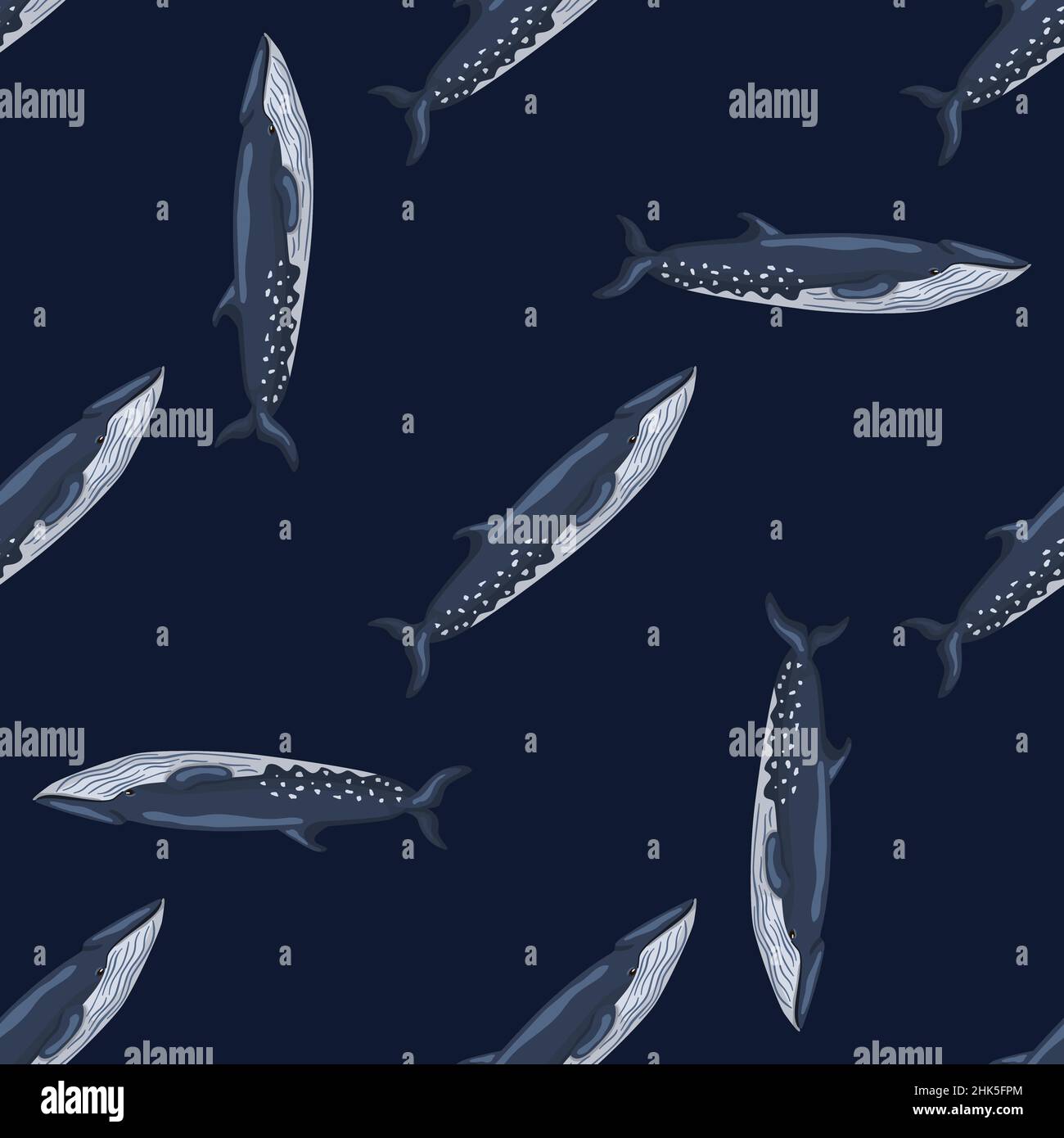 Seamless pattern sei whale on black background. Template of cartoon ...