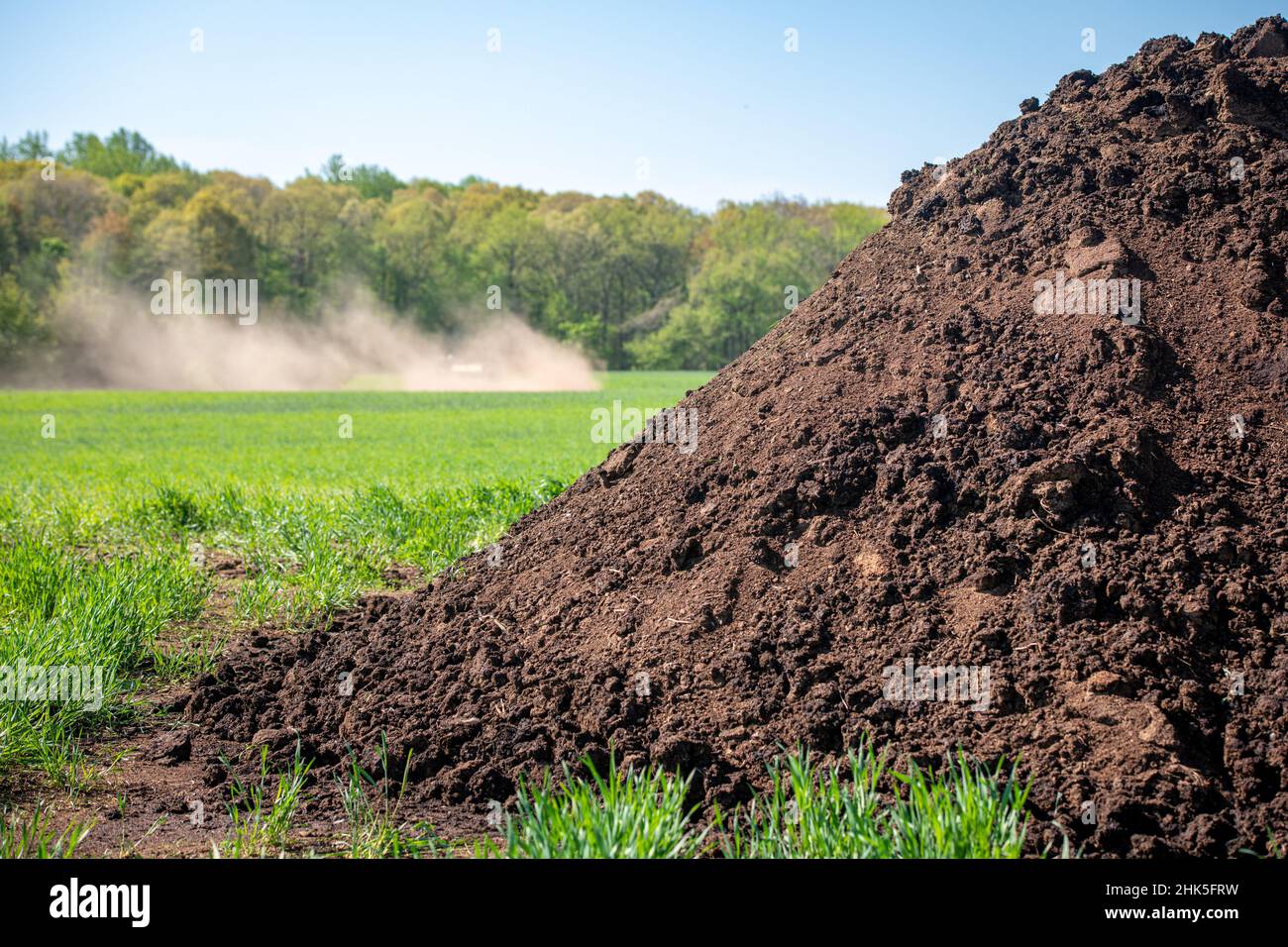 Manure spreading and cover crops on the Eastern Shore, MD Stock Photo ...