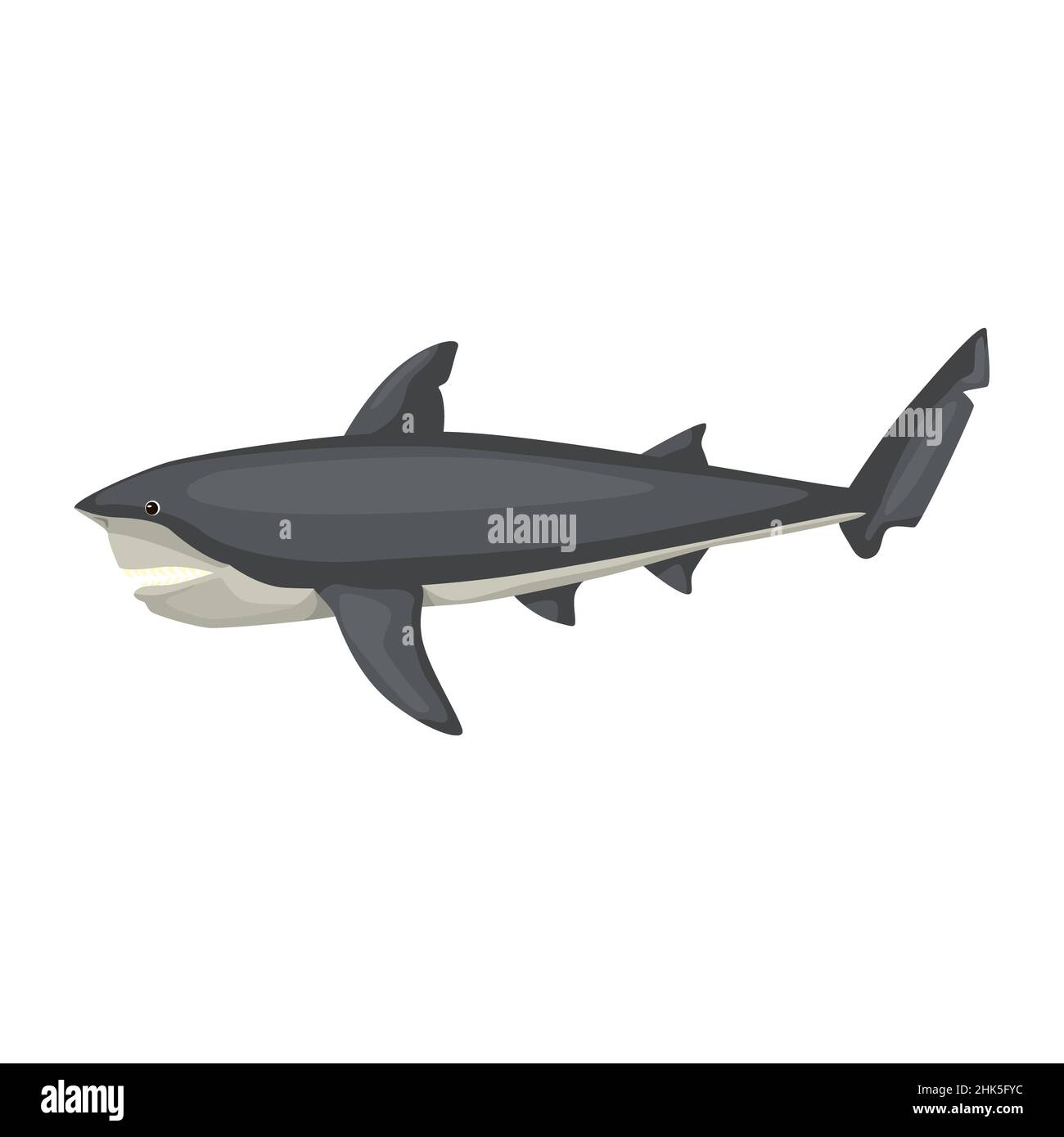 Bull shark isolated on white background. Cartoon character of ocean for ...