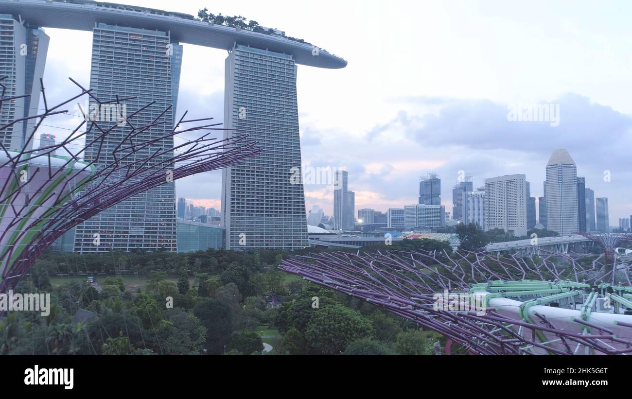 Aerial view Super tree grove in Gardens by the Bay and Marina Bay Sands ...