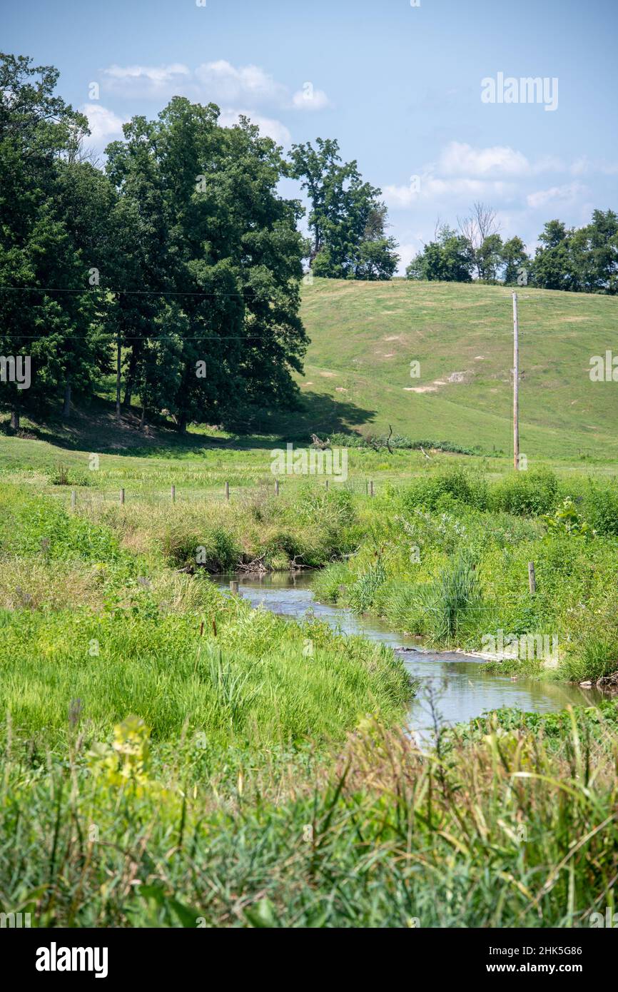 Stream restoration hi-res stock photography and images - Alamy