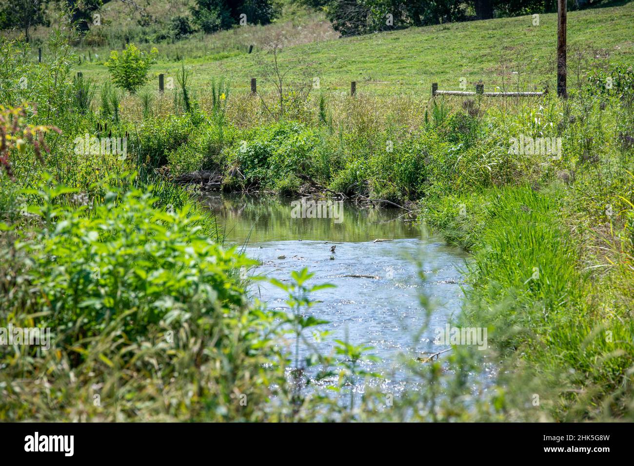 Stream restoration hi-res stock photography and images - Alamy