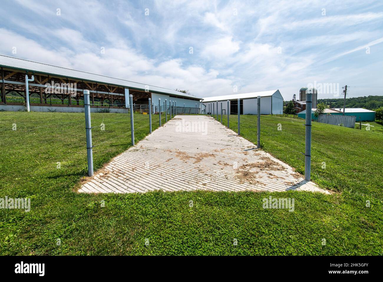 Cattle heavy use pad Stock Photo - Alamy