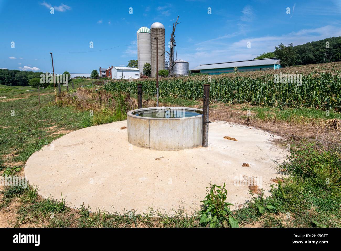 Round Concrete Cattle Water Trough Official Sale | www.pinnaxis.com