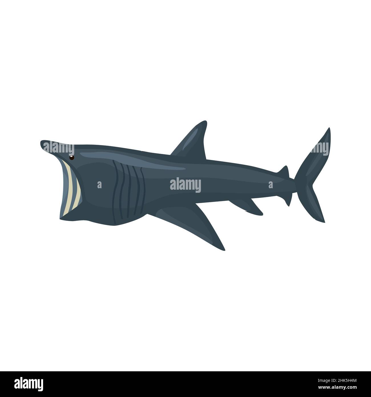Basking shark isolated on white background. Cartoon character of ocean ...