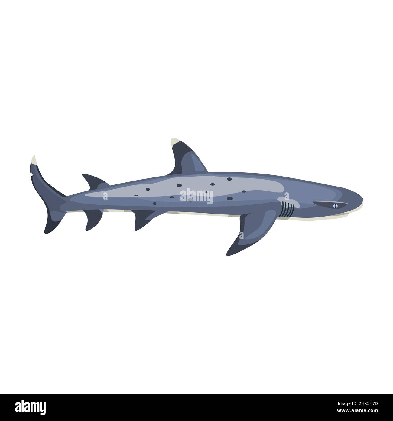 Reef shark isolated on white background. Cartoon character of ocean for ...