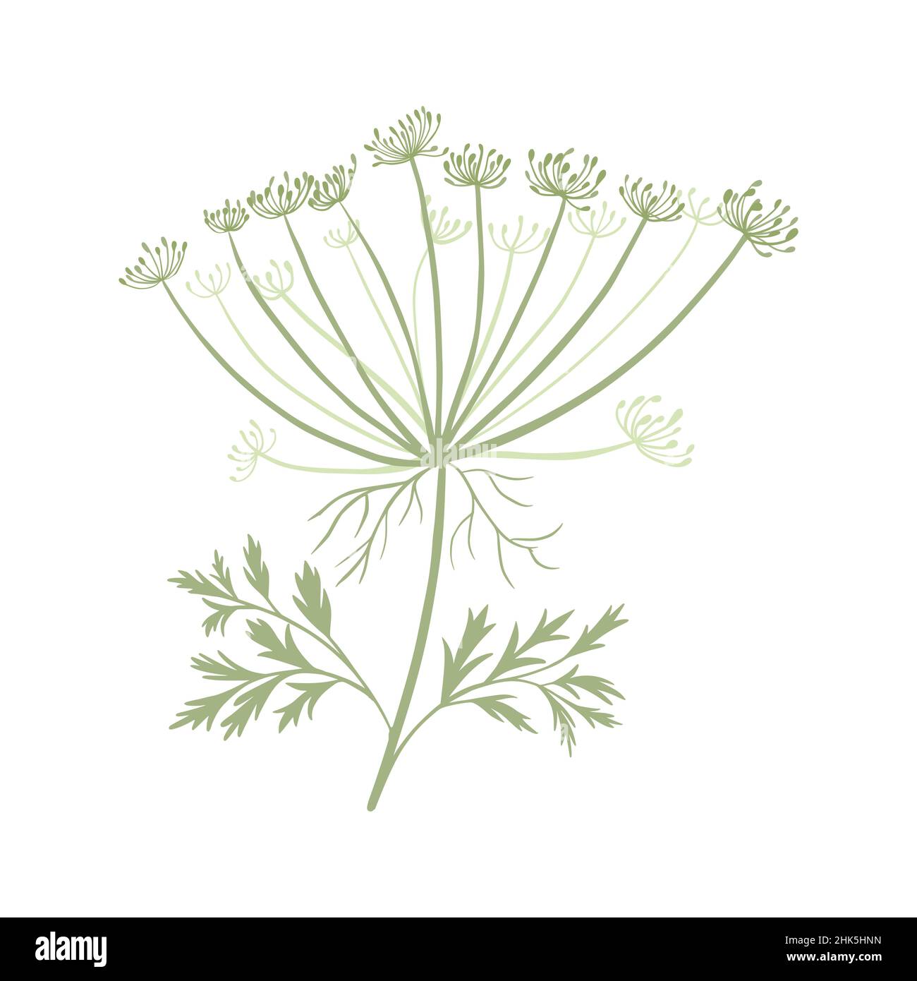 Green sprig herb isolated on white background. Decorative design in ...