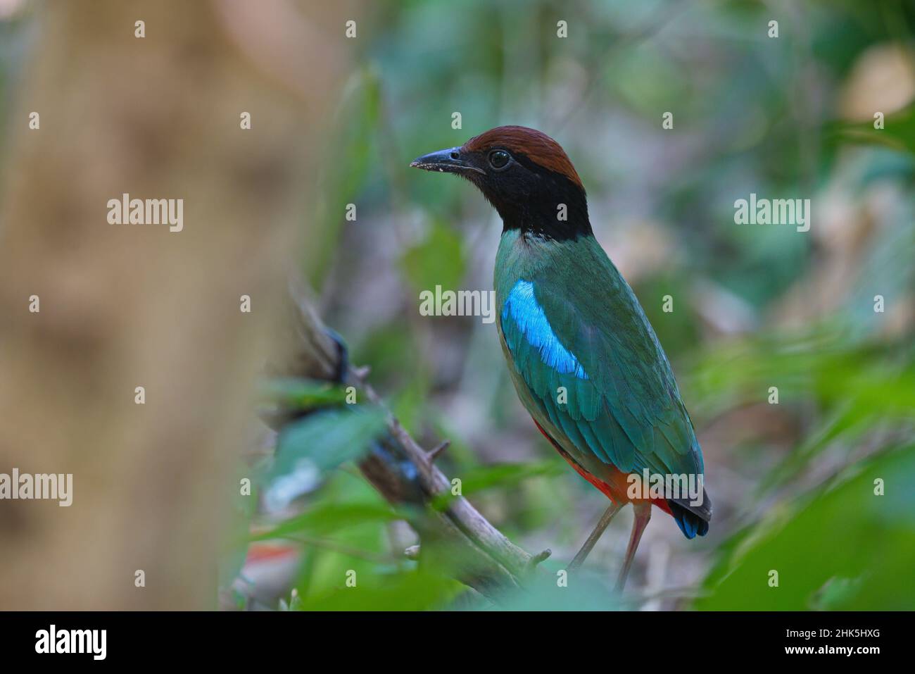 Baby feeding variety hi-res stock photography and images - Alamy