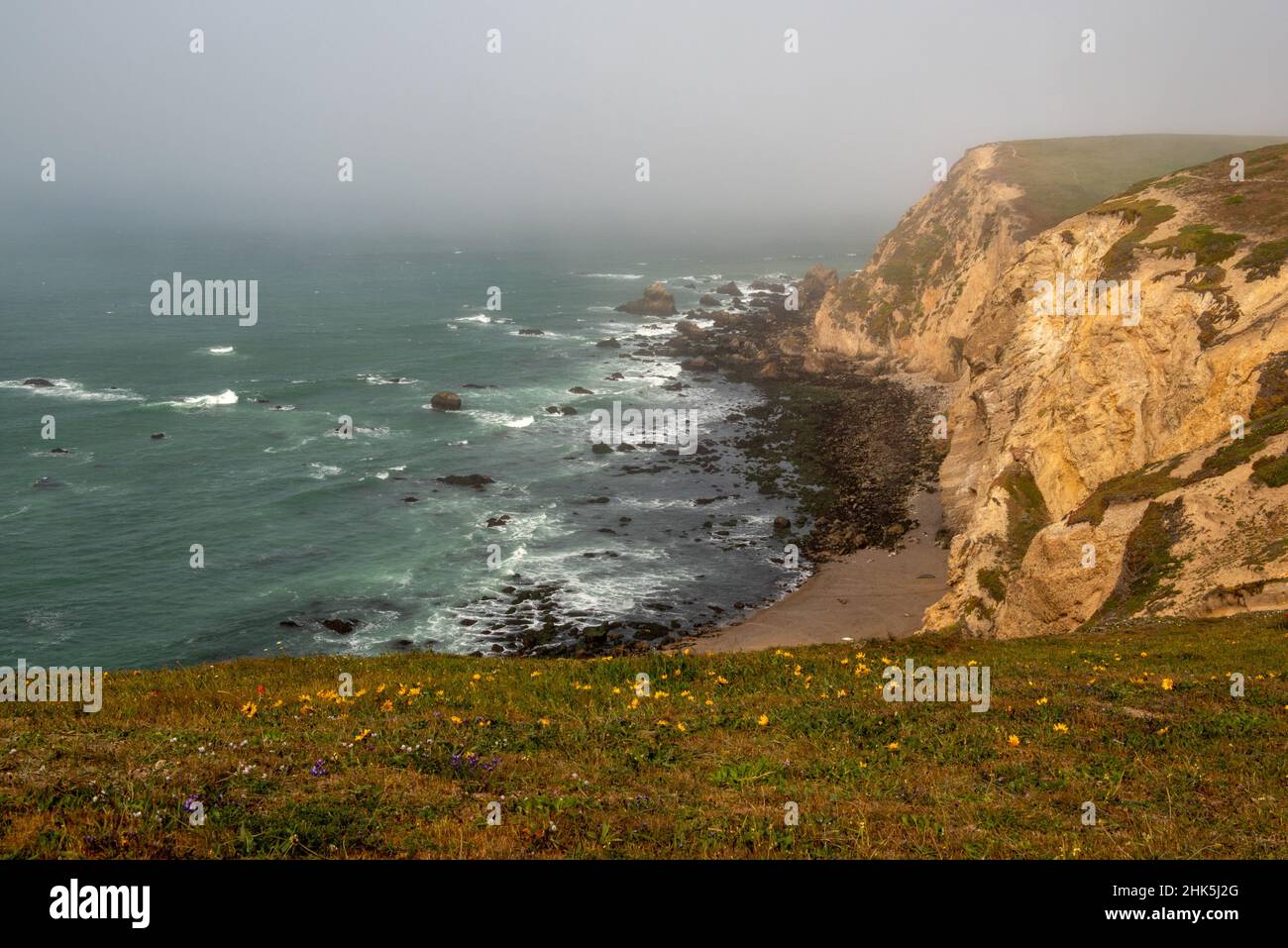 Point Reyes National Seashore, Chimney Rock trail ocean coastline ...