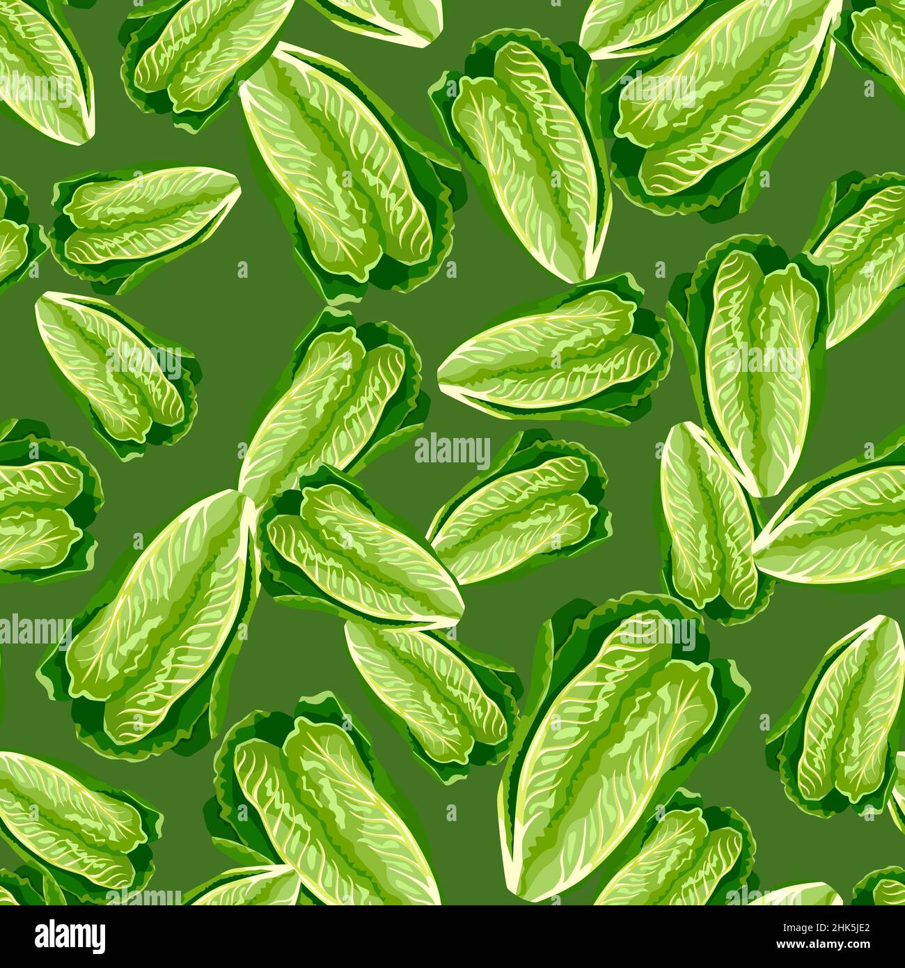 Seamless pattern lettuce Romano on green background. Modern texture ...