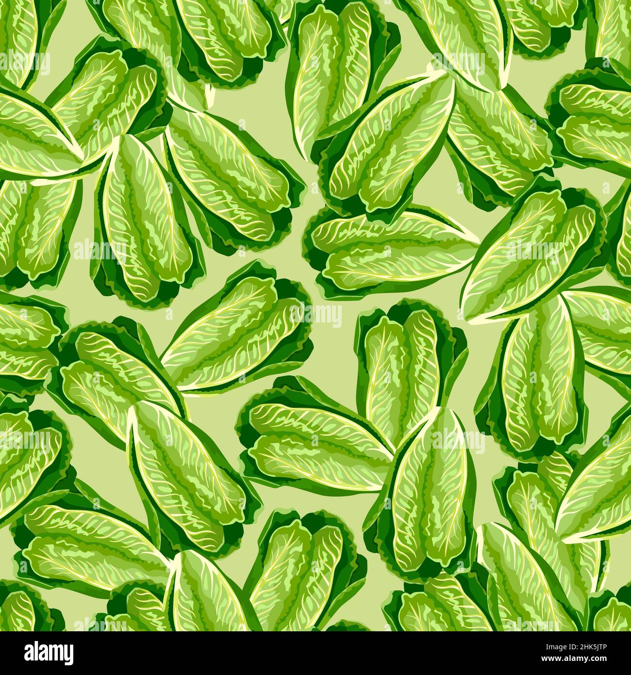 Seamless pattern lettuce Romano on light green background. Beautiful ...