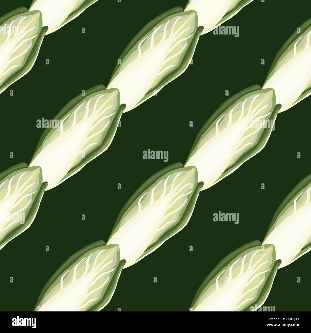 Seamless pattern Chicory cabbage on dark green background. Minimalism ...