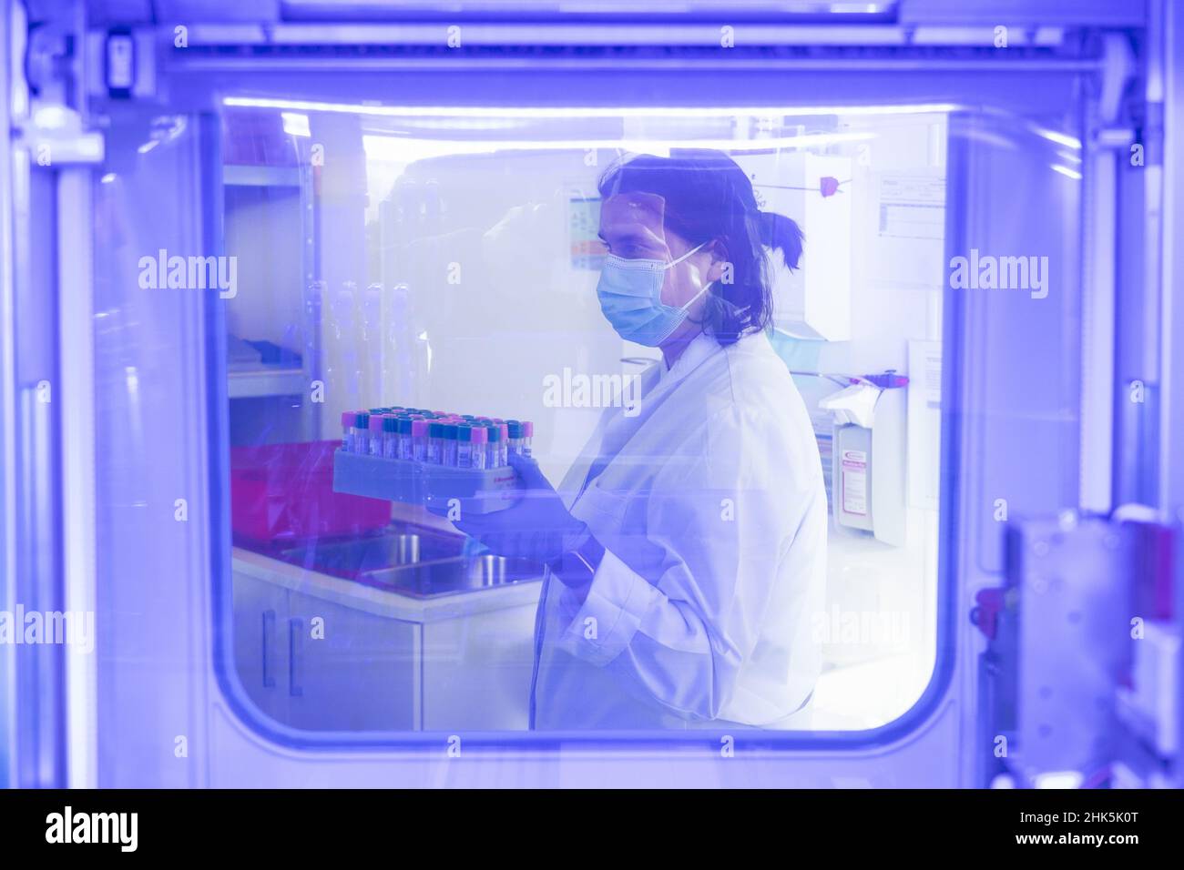Dresden, Germany. 02nd Feb, 2022. Laura Heidler, staff member, holds a ...
