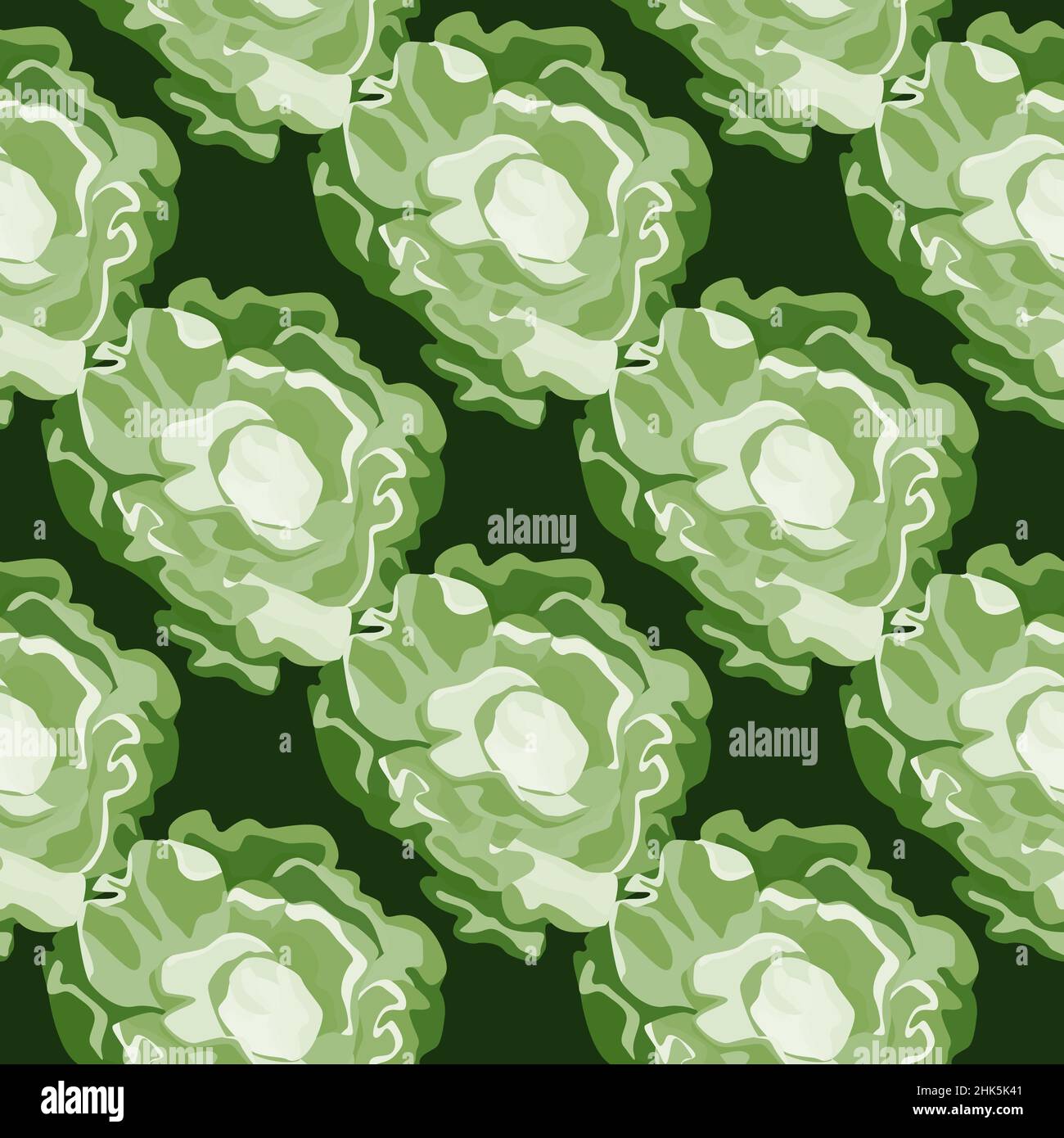 Illustration butterhead lettuce hi-res stock photography and images - Alamy