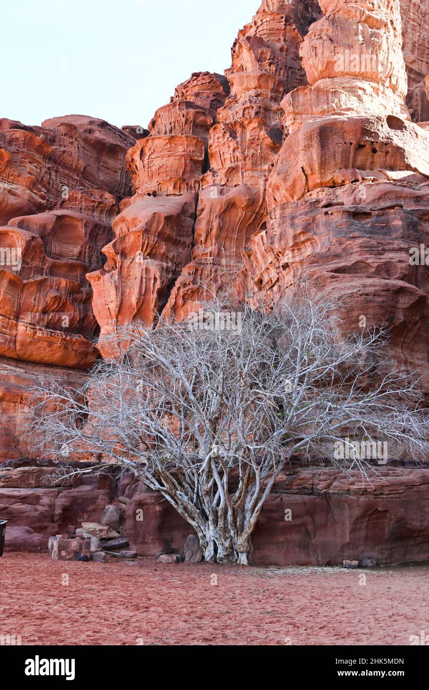 Middle east desert lfie hi-res stock photography and images - Alamy