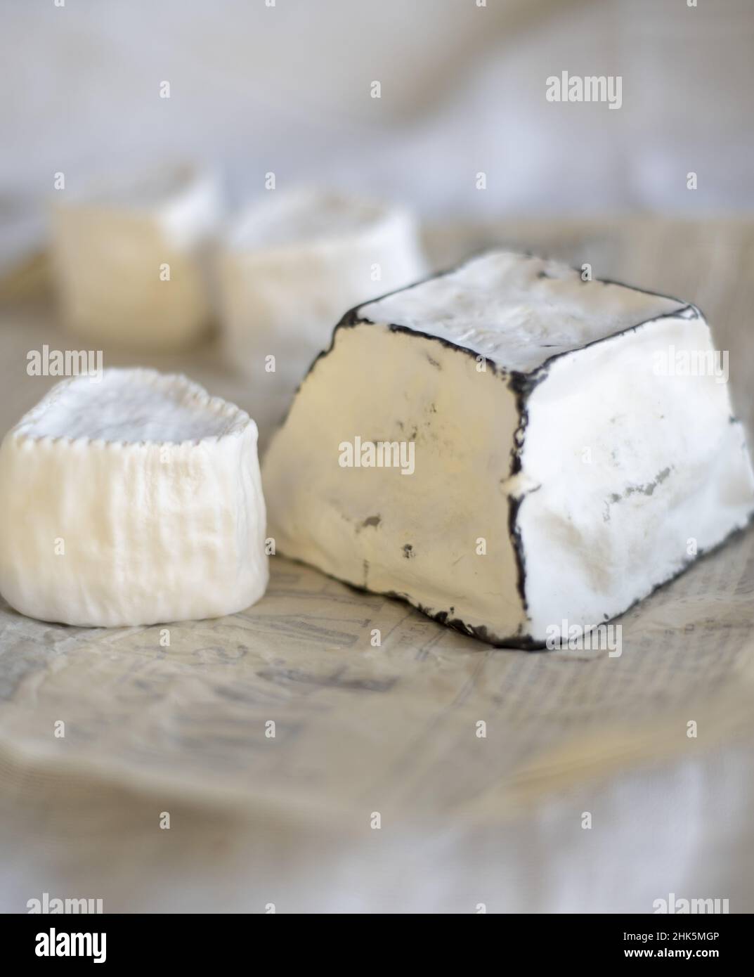 Various types of cheese with white mold on packaging paper. Home ...